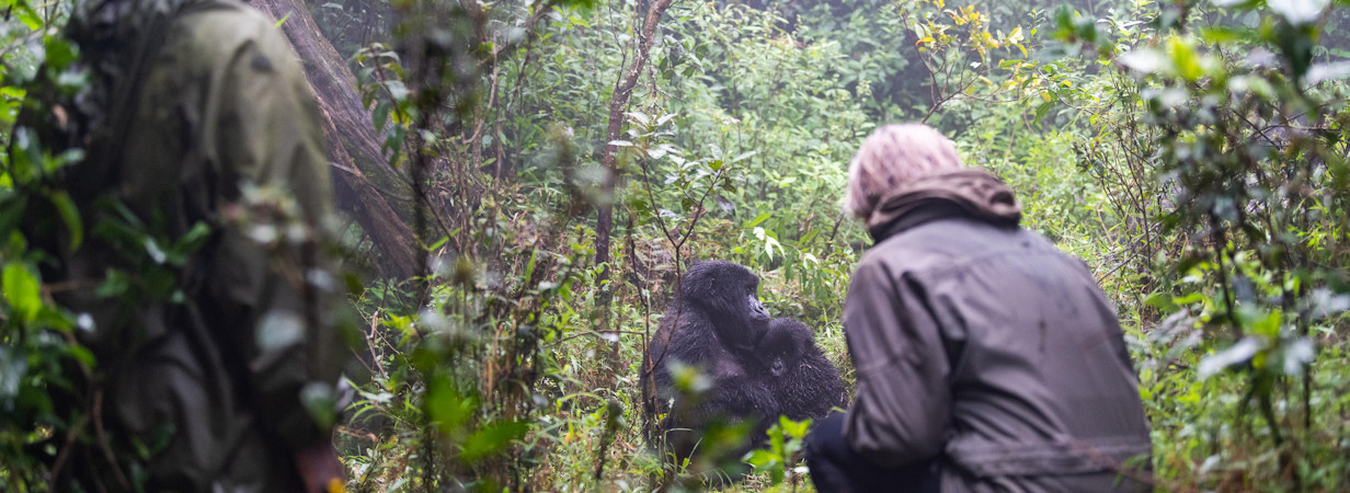 Rwanda Travel Guide | Experience The Land Of A Thousand Hills