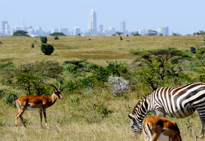 10 Must See Attractions in Nairobi 2025 | African Safari Blog