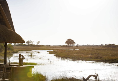 10 Places To Visit In Botswana | African Safari Blog