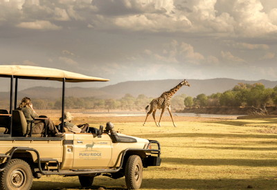 Best Safari Destinations In Zambia | African Safari Blog