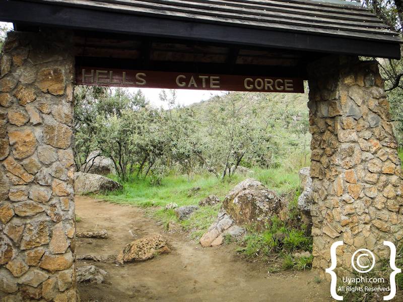 Hells Gate Kenya | African Safari Blog